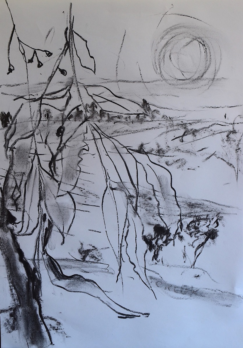 SGAS ARTBANK – St George Art Society